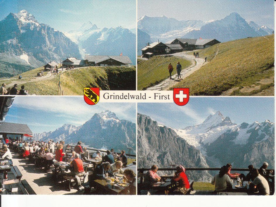 Grindelwald First 1983 | Kaufen auf Ricardo