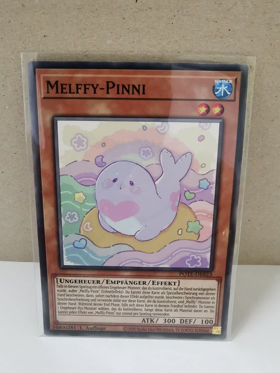 POTE/Melffy-Pinni | Kaufen auf Ricardo