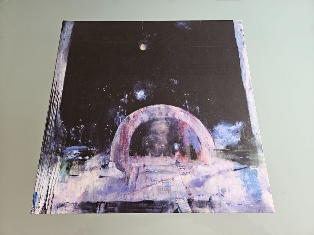 Daughter Not To Disappear LP 180Gr Vinyl NM Indie Rock Folk (Gebraucht ...