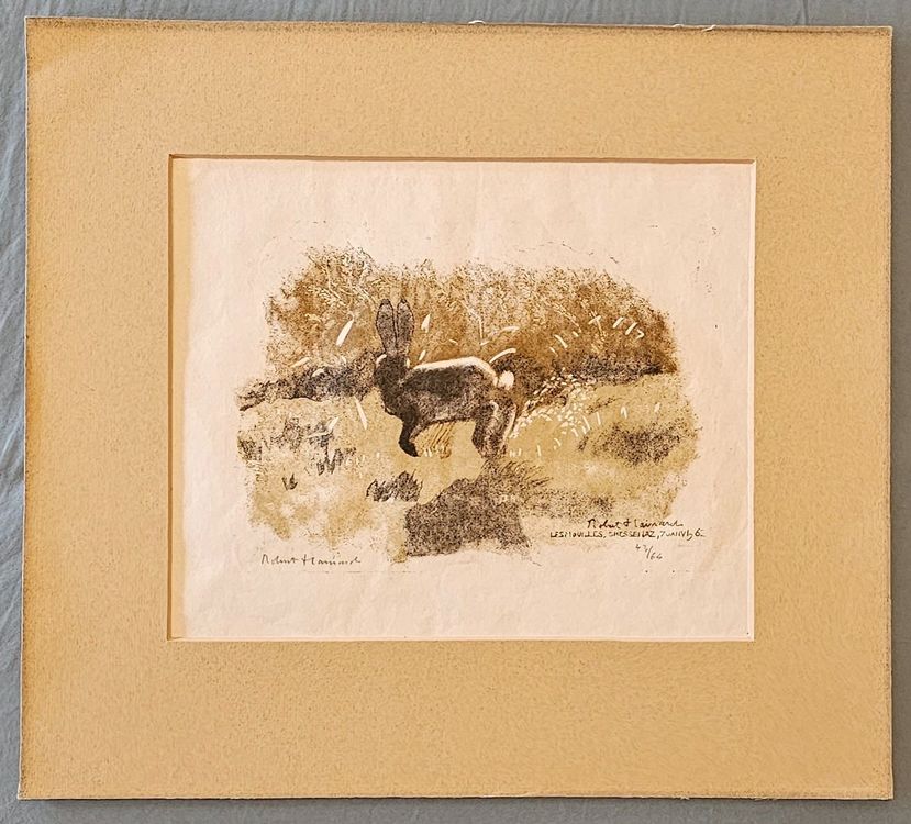 Robert Hainard Lievre dans le marais 1962 | Kaufen auf Ricardo