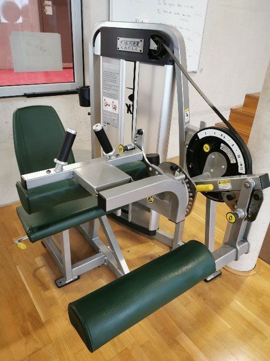 Machine leg curl assis | Kaufen auf Ricardo