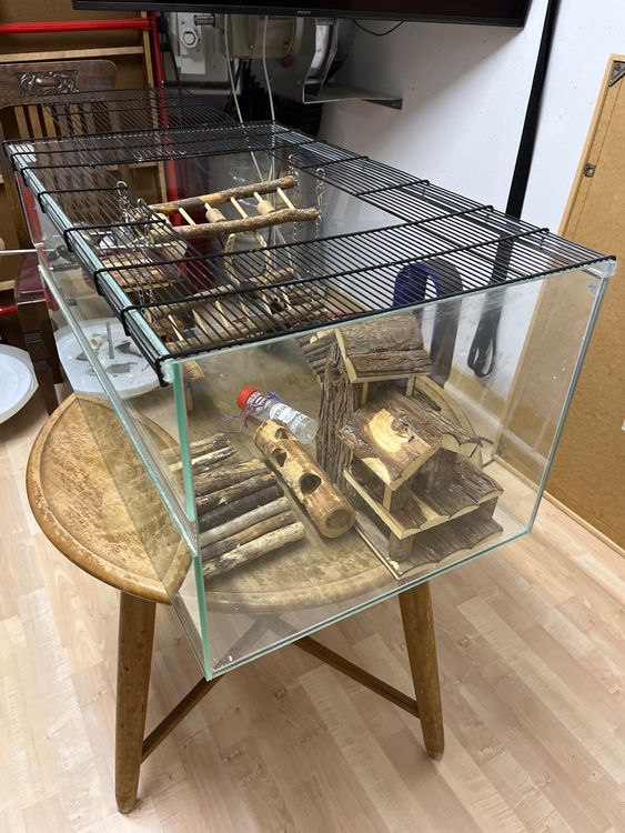 Mäusekäfig, nagerstall, Mäusestall Glas neuwertig (Gebraucht) in ...