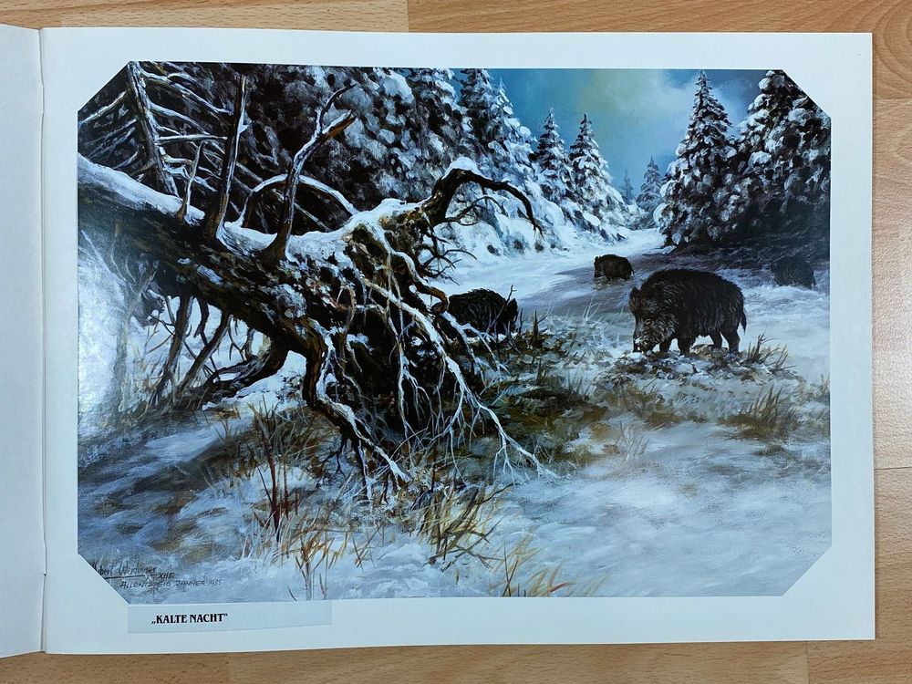 Hubert Weidinger (1951) Mappe mit 12 imposanten Bildern (D'occasion) à ...