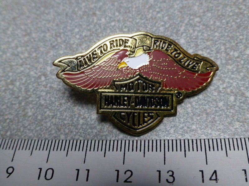 PIN PINS HARLEY DAVIDSON HOG ABZEICHEN CHAPTER BADGE (Gebraucht) in ...