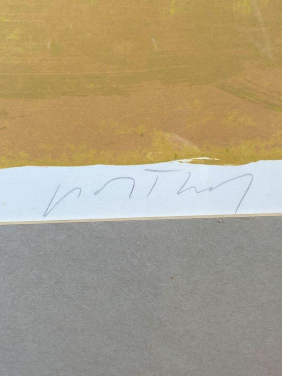 Hans Potthof - Swiss Art Selection | Kaufen auf Ricardo