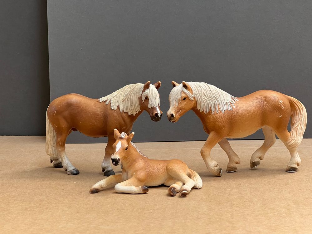 Schleich Haflinger Stute Hengst Fohlen (Gebraucht) in für CHF 20 – mit ...