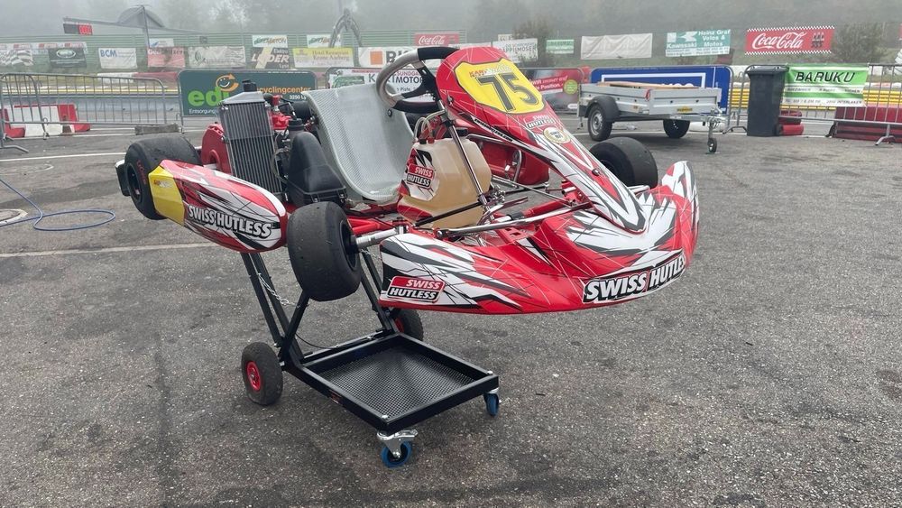 Rennkart Swiss Hutless, Rotax Max Senior (Gebraucht) in Wahlendorf für ...