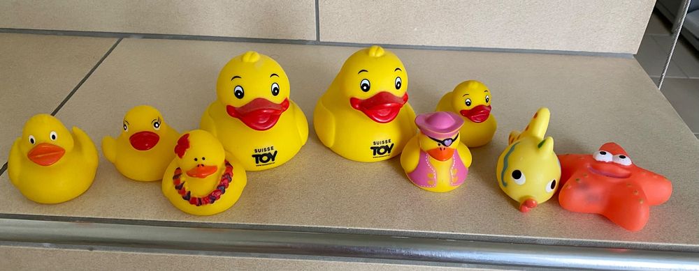 Ente Familie 1 Fisch + Stern Patrik | Kaufen auf Ricardo