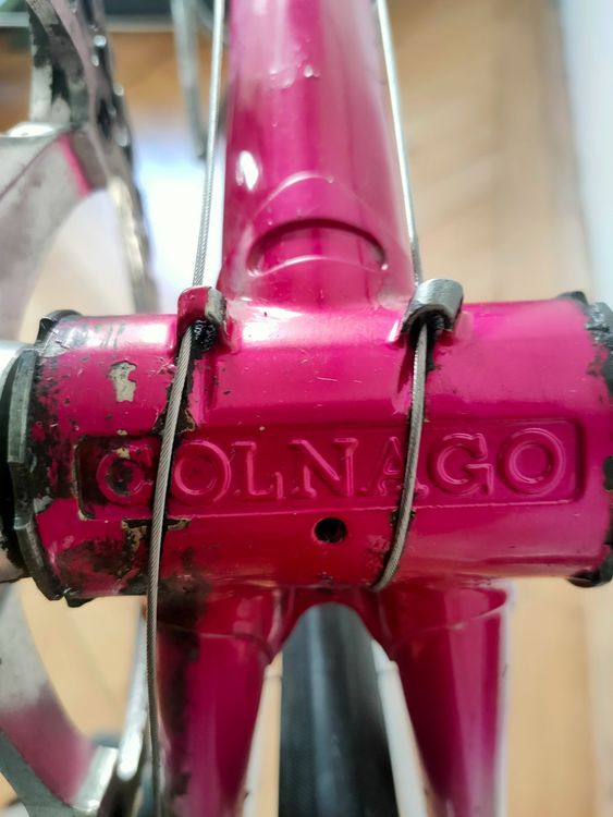 Colnago Master Olympic, Campagnolo 8v, Stahlrahmen Columbus (Gebraucht ...
