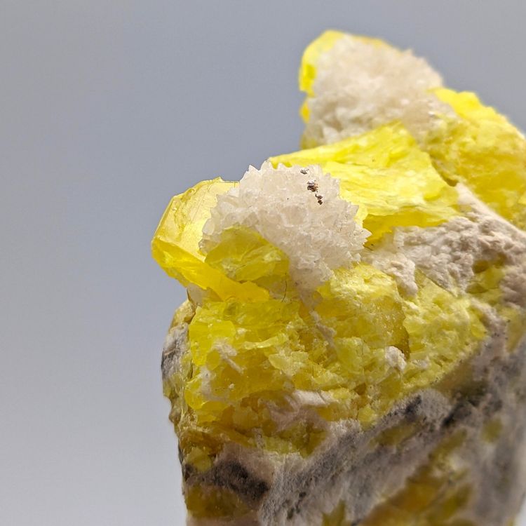 SCHWEFEL GELB mit ARAGONIT WEISS, UV Rot (Neu (gemäss Beschreibung)) in Balerna für CHF 35 – mit ...