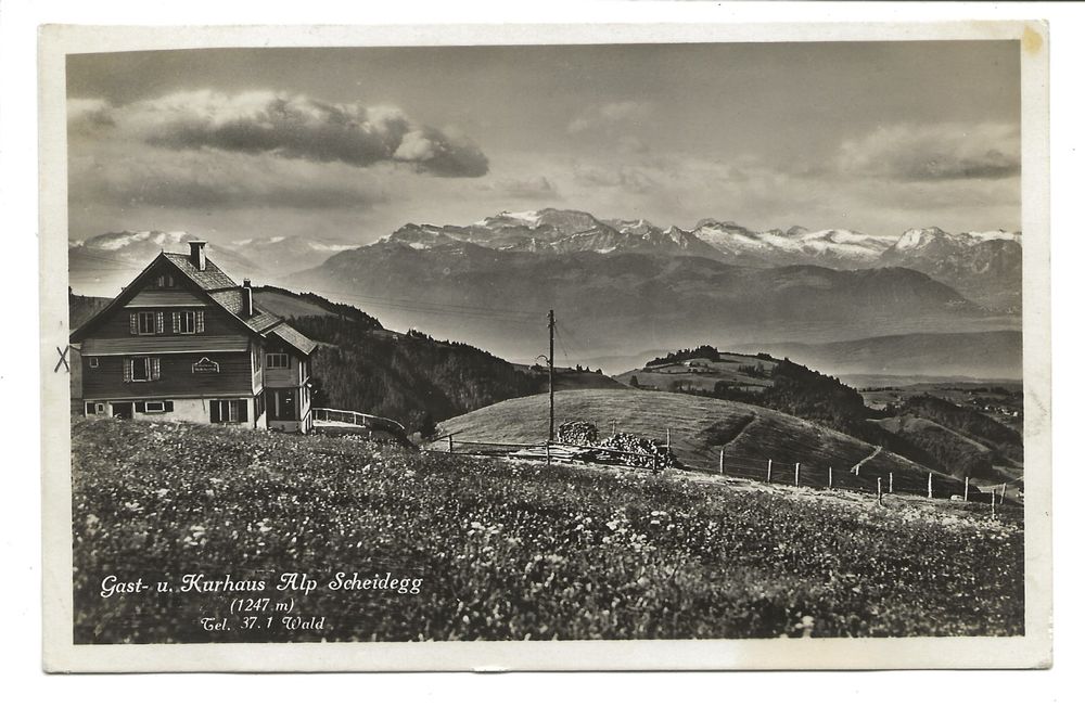 Gast- und Kurhaus Alp Scheidegg (ZH) bei Wald - Foto-AK 1929 (Gebraucht ...