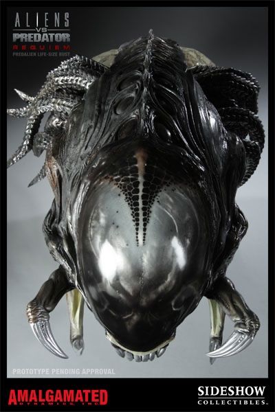 Bust predalien sideshow / taille réelle (Gebraucht) in Renens VD für ...