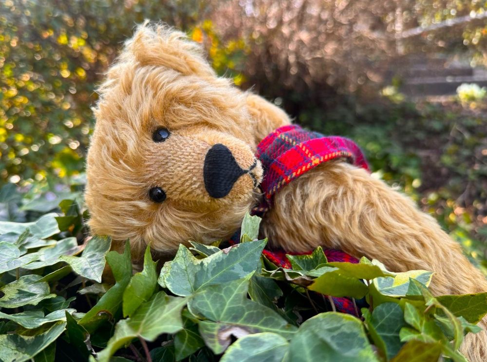 LOG CABIN BEARS Bär Teddy Teddybär Künstlerbär limitiert (Neu (gemäss ...
