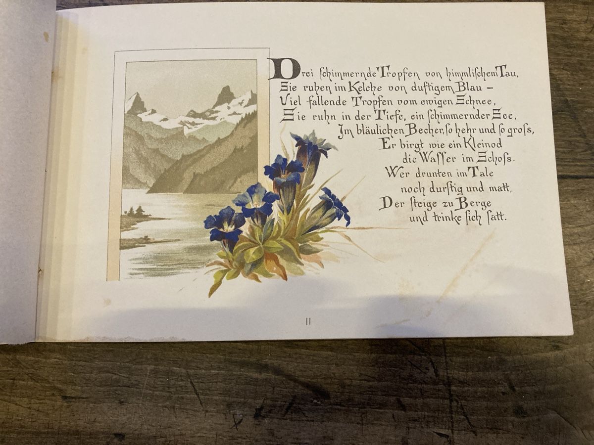 Bild und Gleichnis, E. Fehr 1892, St. Gallen (Gebraucht) in Zürich für ...