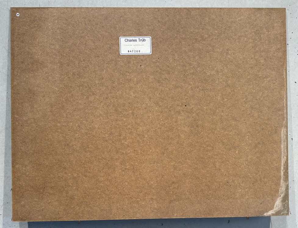 Charles Trüb - Swiss Art Selection (Gebraucht) in Sursee für CHF 20 ...