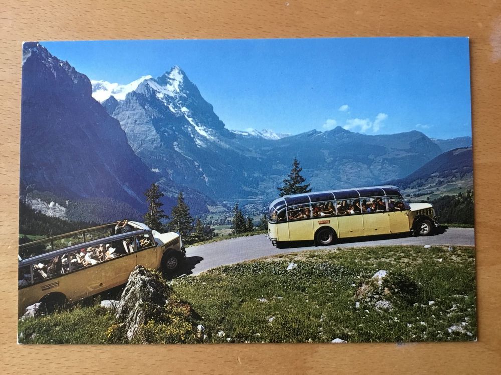 AK Autobus Postauto Saurer FBW Grindelwald (Gebraucht) in münchenbuchsee für CHF 4 – mit ...