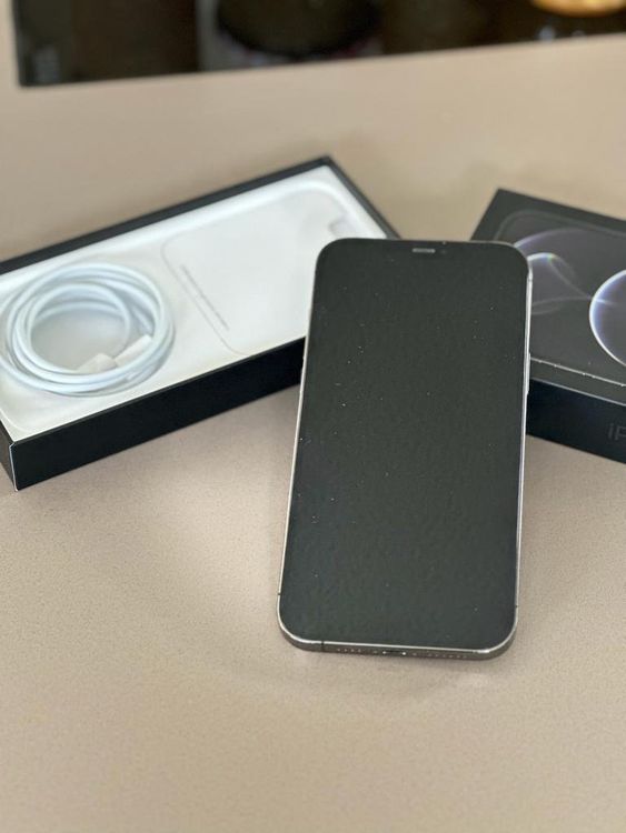 iPhone 12 Pro Max 256 GB | Kaufen auf Ricardo