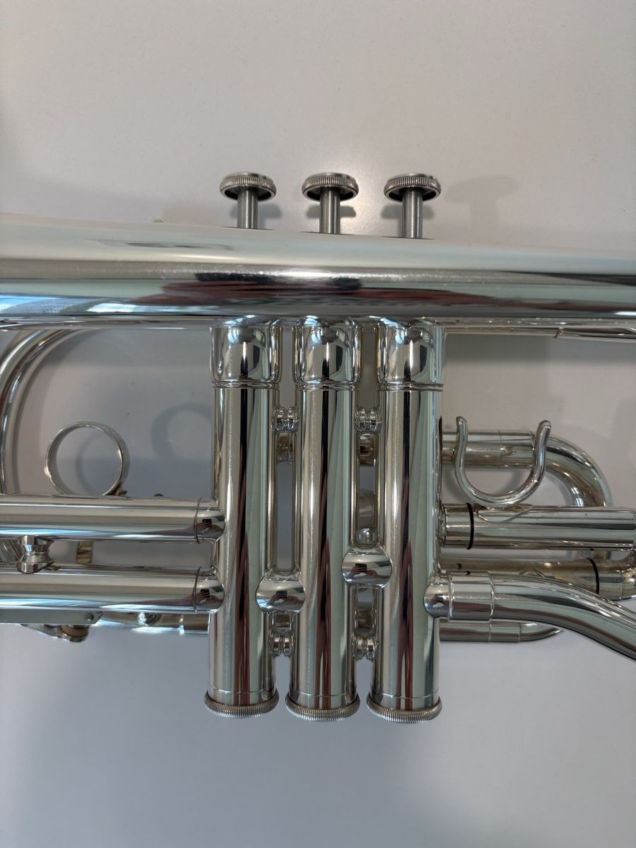 Yamaha YCR-6330 ST Kornett (Neu (gemäss Beschreibung)) in Neuhausen für ...