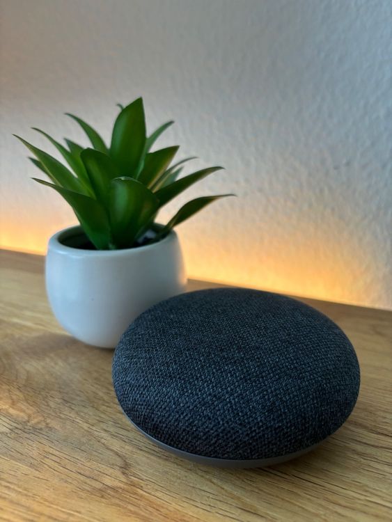 Google Nest Mini (1st Gen) | Kaufen auf Ricardo