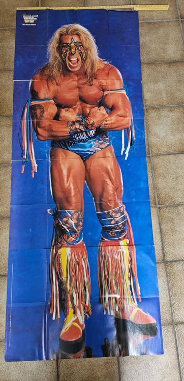 WWE Wrestling Poster Ultimate Warrior Starschnitt WWF WCW (Gebraucht ...