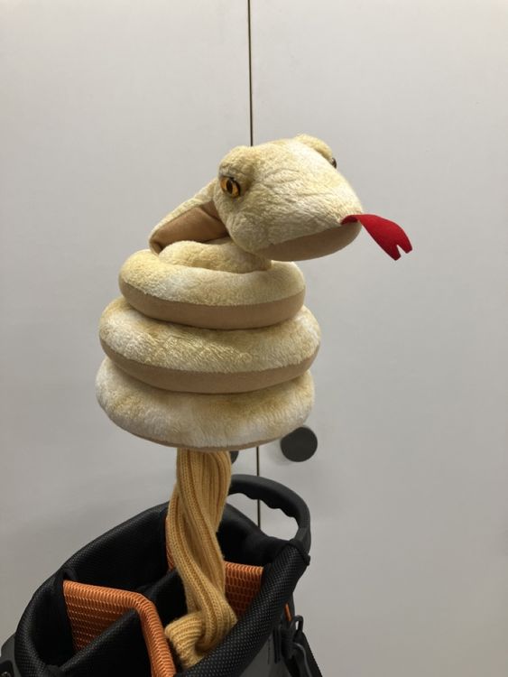 Driver Schutz White Anaconda (Gebraucht) in Hinwil für CHF 9 – mit Lieferung auf Ricardo kaufen