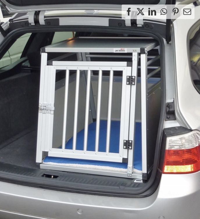 Hunde Transportbox Auto mit Notausstieg (Neu (gemäss Beschreibung)) in ...