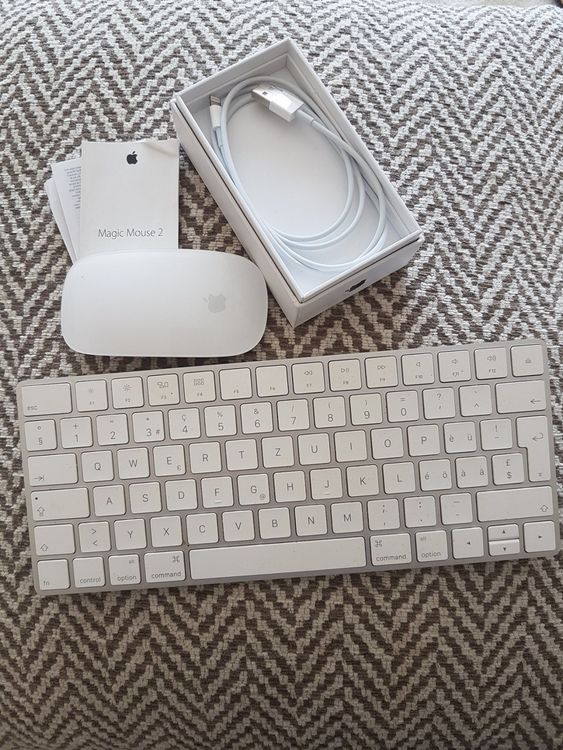 Apple Magic Mouse 2 + Magic Keyboard (Gebraucht) in Schaffhausen für CHF 58 – mit Lieferung auf ...