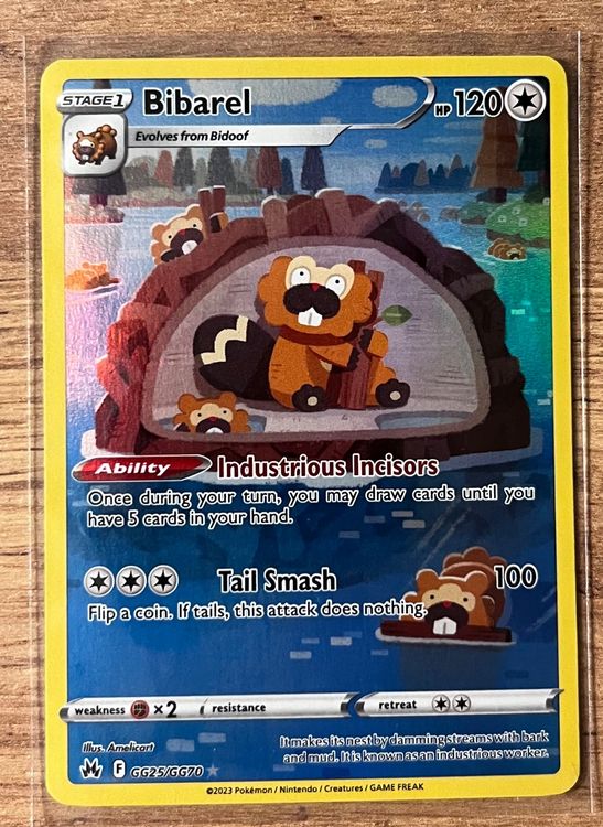 Bibarel GG25/70 Pokemon Crown Zenith Galarian Gallery | Kaufen auf Ricardo