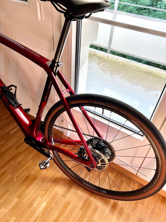 Trek Checkpoint SL Grösse 58 (Neu (gemäss Beschreibung)) in Grächen für ...