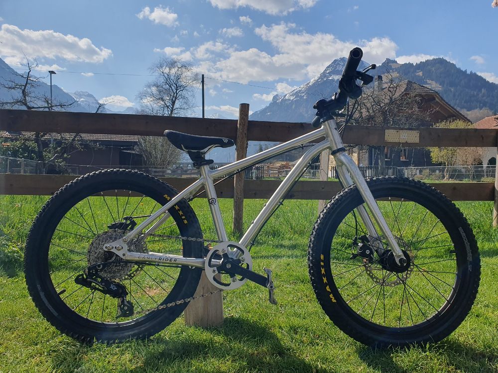 Early Rider Trail 20" Kinder MTB | Kaufen auf Ricardo