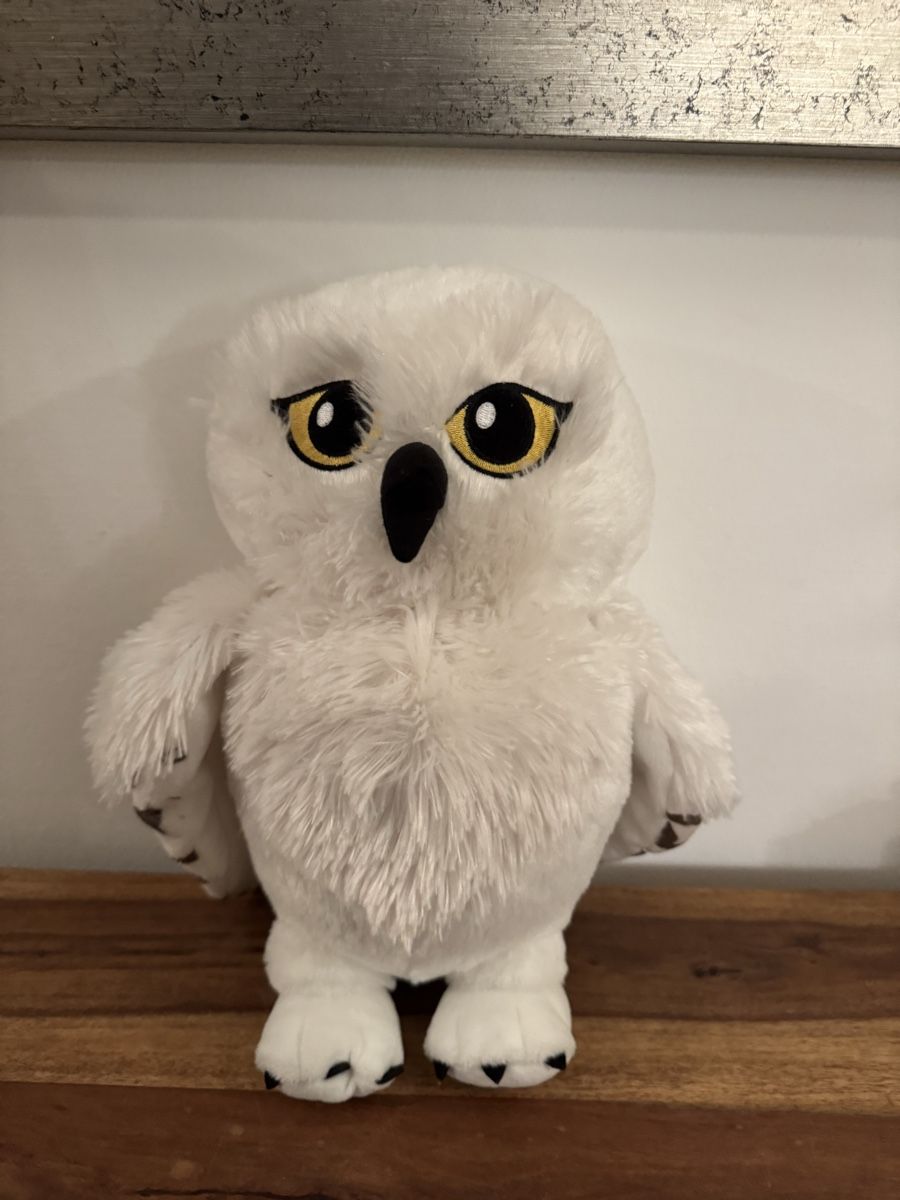 Harry Potter's Hedwig Eule von Build-A-Bear sucht neues Heim (Gebraucht ...