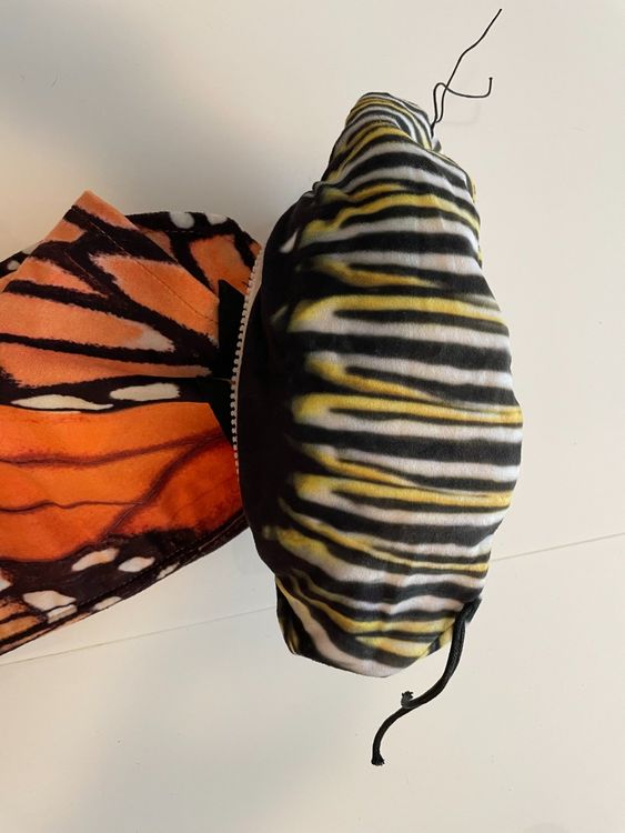 Set Raupe / Schmetterling (Gebraucht) in Gockhausen für CHF 119 – mit Lieferung auf Ricardo kaufen