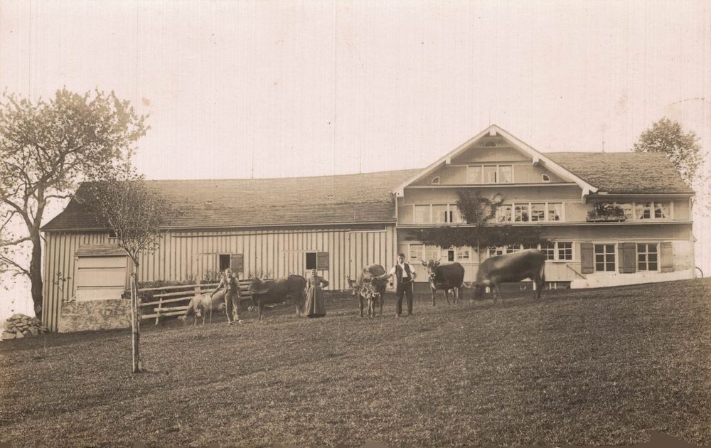 Appenzeller Bauernhaus mit Scheune. Bauernfamilie mit Kühen (Gebraucht) in Bronschhofen für CHF ...