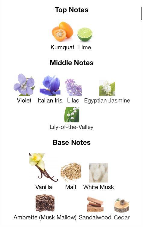 XERJOFF - DAMA BIANCA - EAU DE PARFUM - 2/3/5/10ML (Gebraucht) in ...