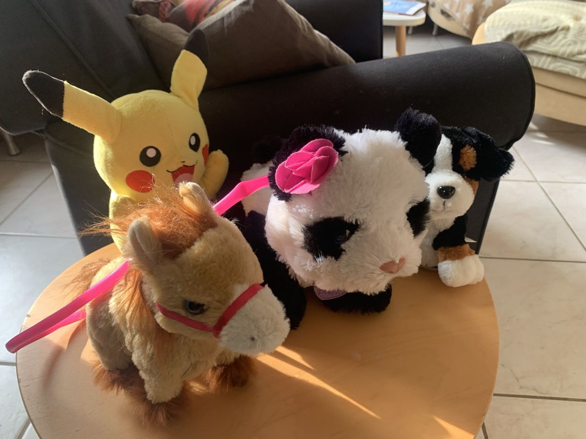 Süessi Stofftier-Sammlung: Pikachu, Panda, Pony & Bärner! (Gebraucht ...