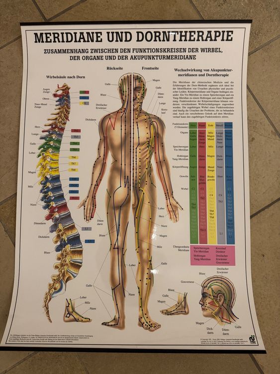Lehrtafel Meridiane Meridiane Im Korper Darstellung