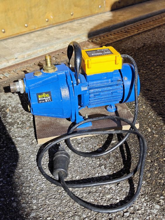 Gartenpumpe / Pompa da giardino Einhell GP Jet 811 (Usato) a Comano per ...