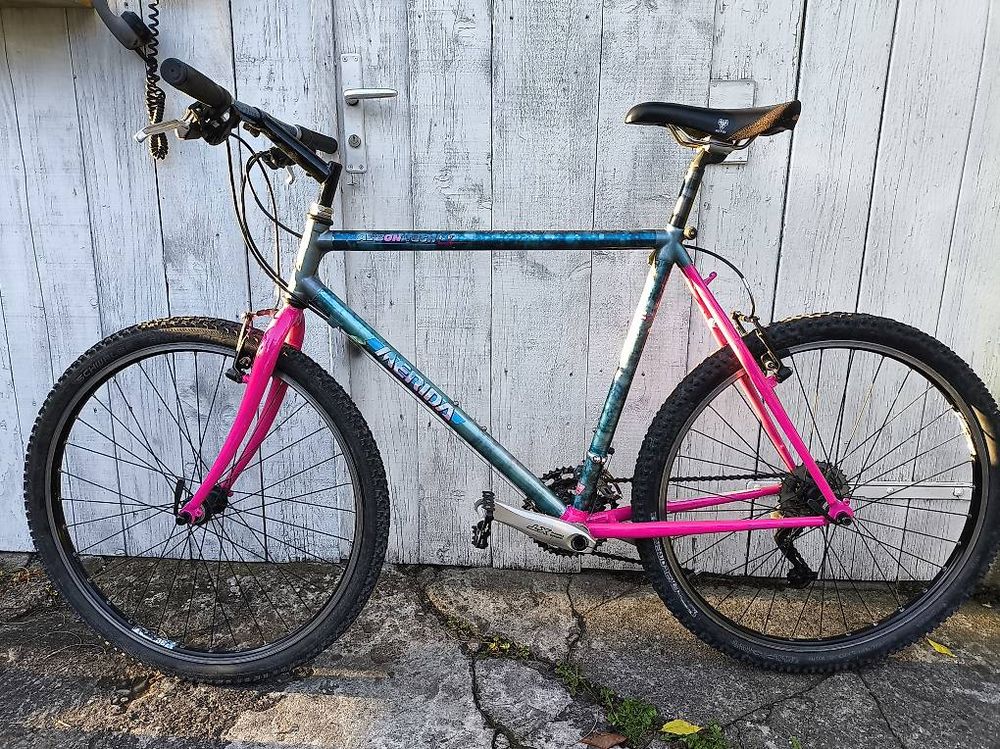 Vintage MTB Merida Al Bon Tech LX | Kaufen auf Ricardo