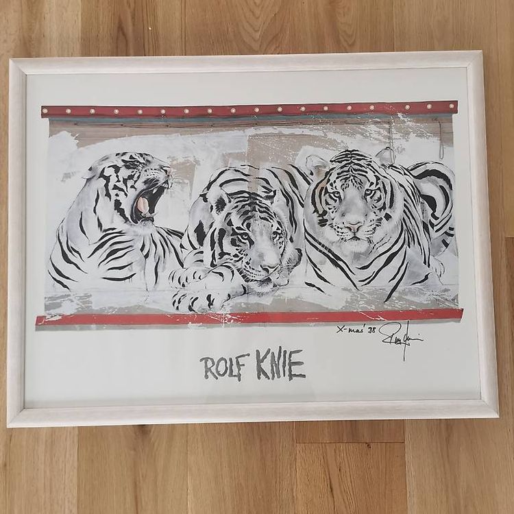 Bild Rolf Knie Weisser Tiger (Gebraucht) in St. Gallenkappel für CHF 10 – nur Abholung auf ...