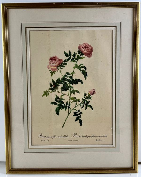 Rosen Lithographie | Kaufen auf Ricardo