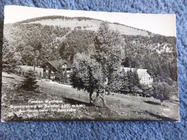 Balsthal,Brunnersberg,Pension Waldheim,Werbe-Foto,Fam.Dähler (Gebraucht) in Lausen für CHF 3 ...