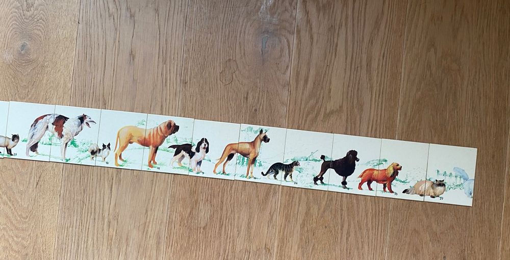 Domino Hunde und Katzen - komplett (Gebraucht) in Aarau für CHF 8 – mit ...