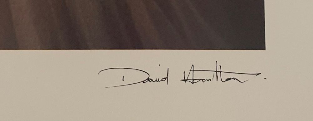 David Hamilton (1933-2016) Dame Fotogravure (Gebraucht) in Root für CHF ...