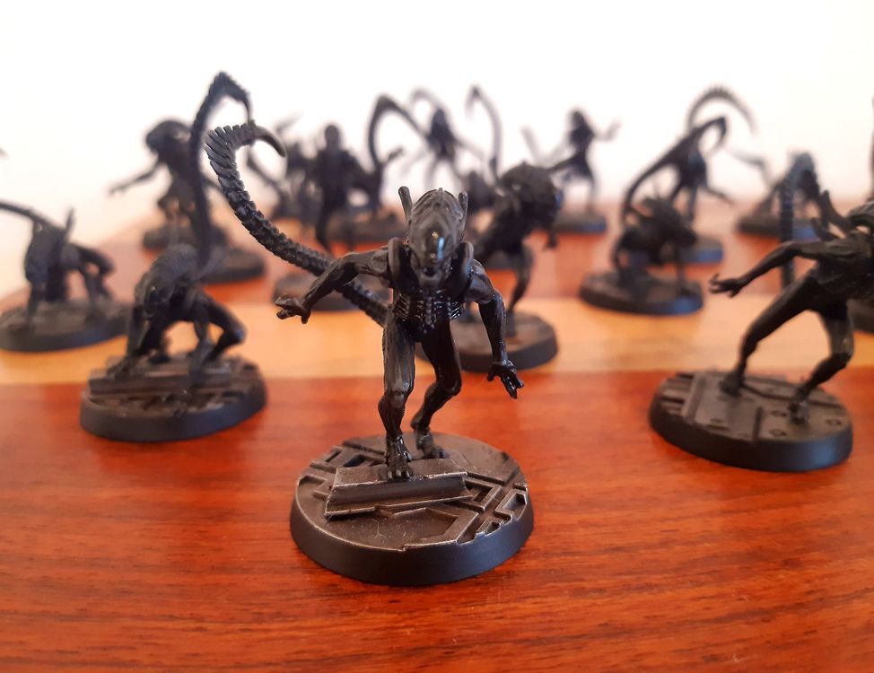 Alien vs Predator / Tabletop / Warhammer 40k (Gebraucht) in Horgen für ...