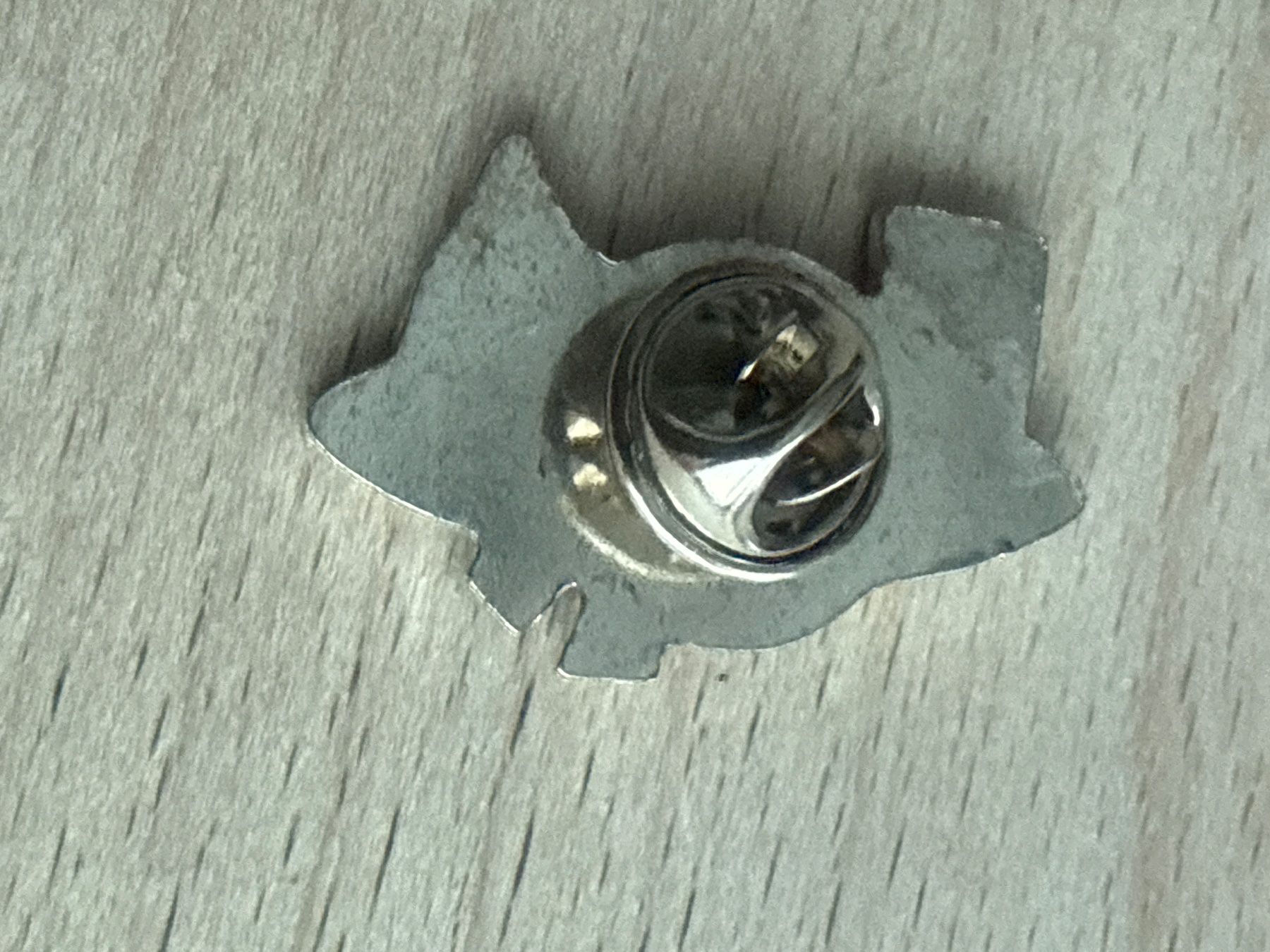 Pin Astronomische Gesellschaft Oberwallis (Gebraucht) in Glattbrugg für ...