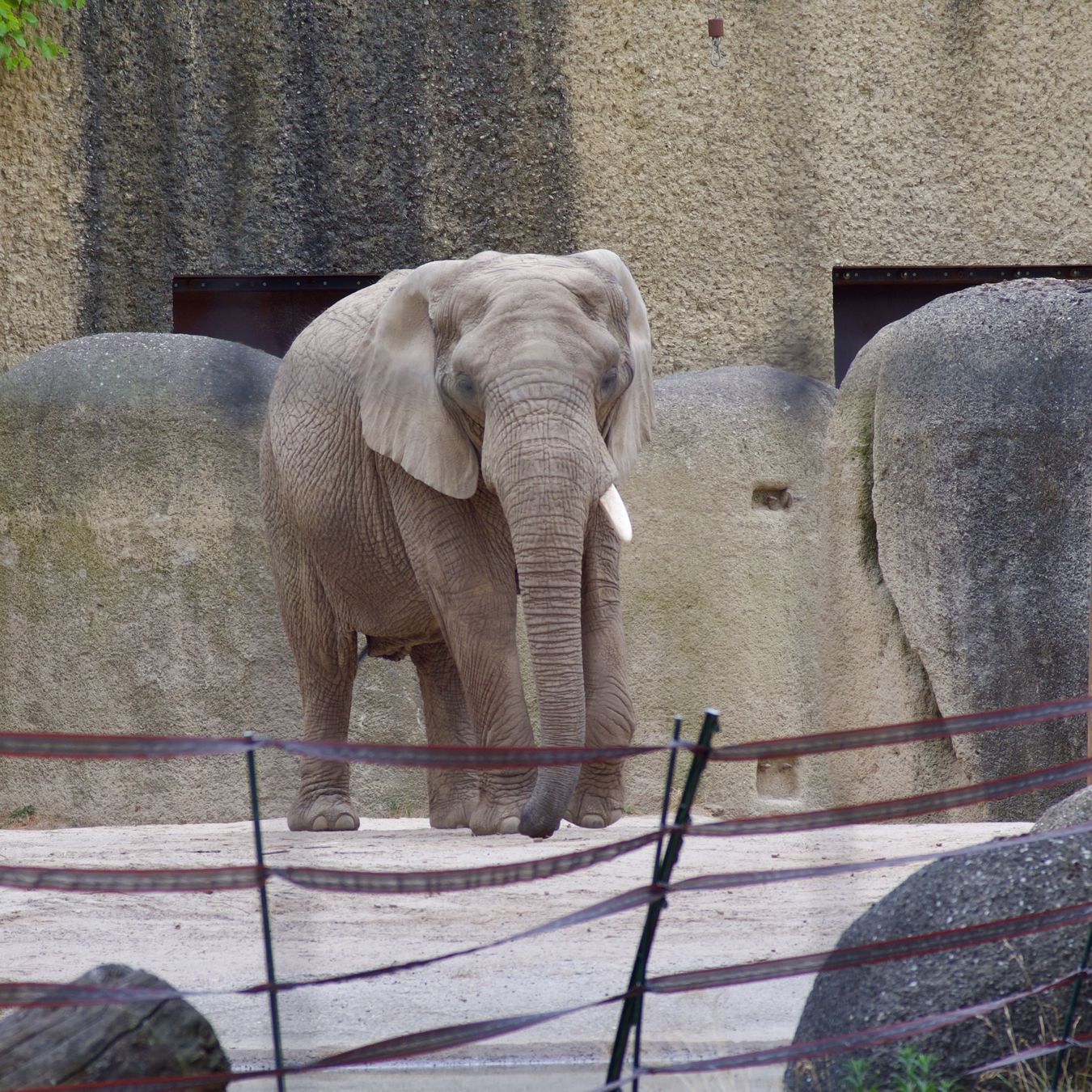 YASHICA ZOOM ML 35-105mm, 3.5-4.5 / C/Y-Bajonett, analog (Gebraucht) in ...