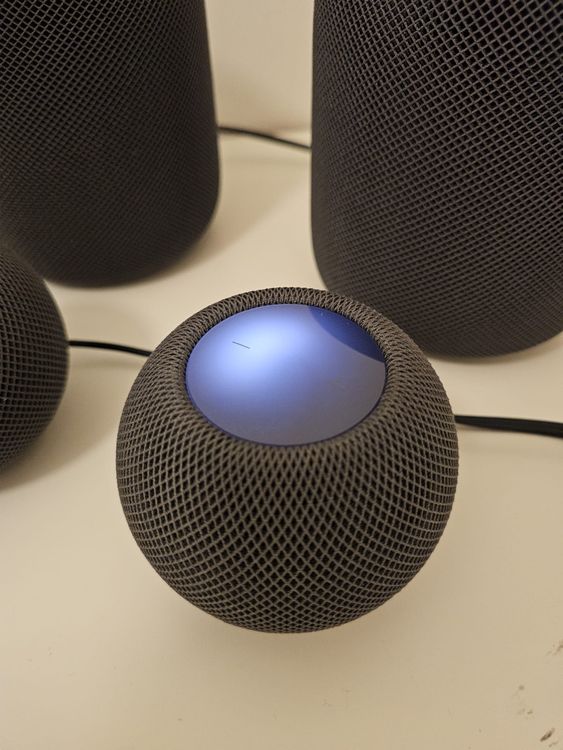 Home Pod Mini (Gebraucht) in Küssnacht am Rigi für CHF 60 – nur ...