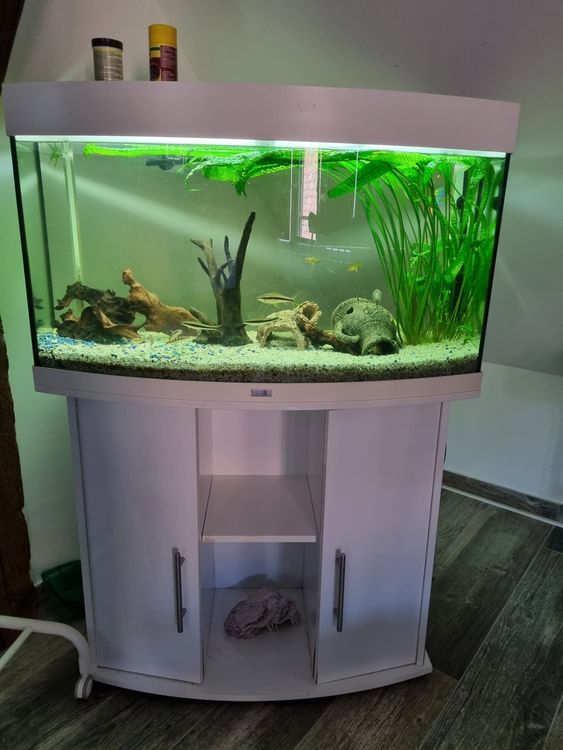 Aquarium Juwel Vision 180 Liter | Kaufen auf Ricardo