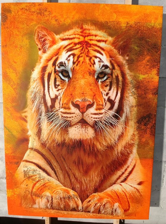 Bild Tiger, Druck auf Leinwand (Gebraucht) in Reinach BL für CHF 95 ...
