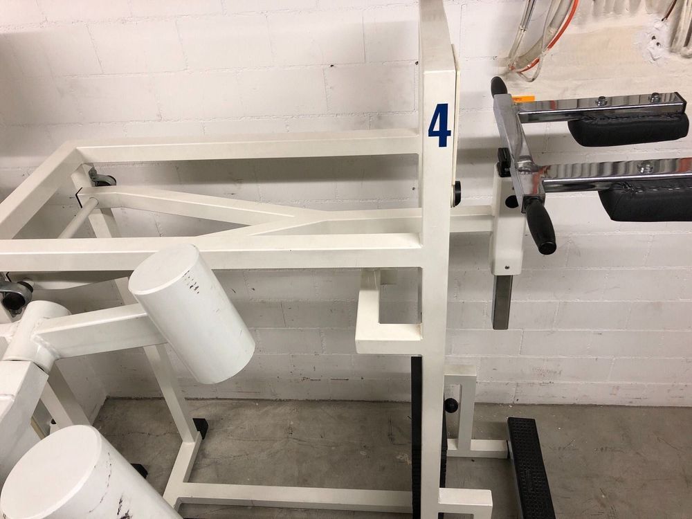 Technogym Standing Calf Raise (Gebraucht) in Triesen für CHF 50 – mit ...